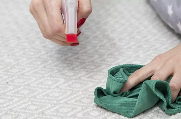 How To Clean Area Rugs? 5 Steps To Get Everything Done - Diipoo